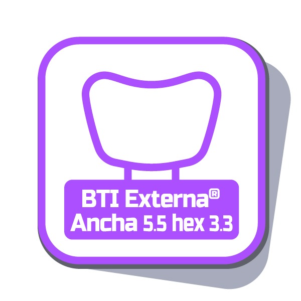 Productos para BTI Externa® Ancha 5,5 hex 3,3 dental - Dent-thel